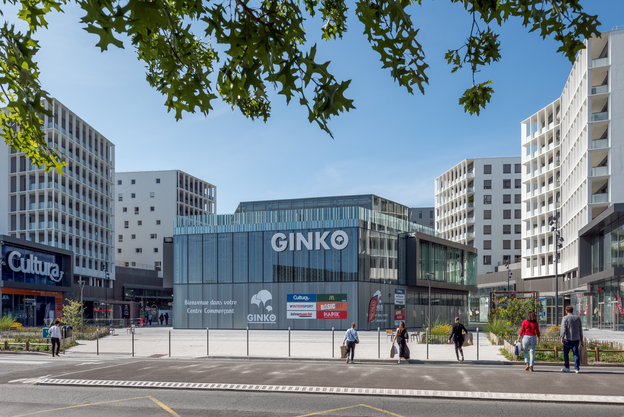 CŒUR GINKO C.2 - In-ex